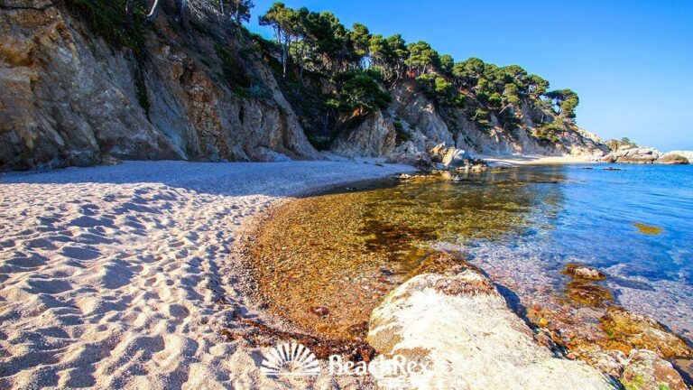 Descubre la belleza secreta de Cala Roca Bona: Una guía completa para disfrutar de sus aguas ...